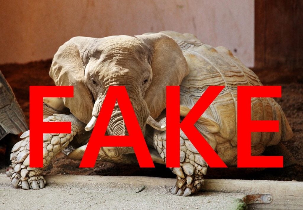 Foto falsa, come scoprirlo